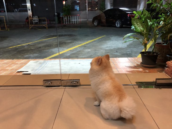 Toyo Massage スラウォン通りで日本人に人気のタイマッサージ店 アジアの歩き方
